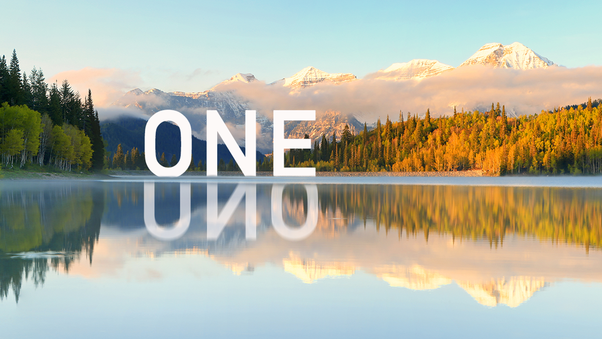 One Mission – Kingwood Church